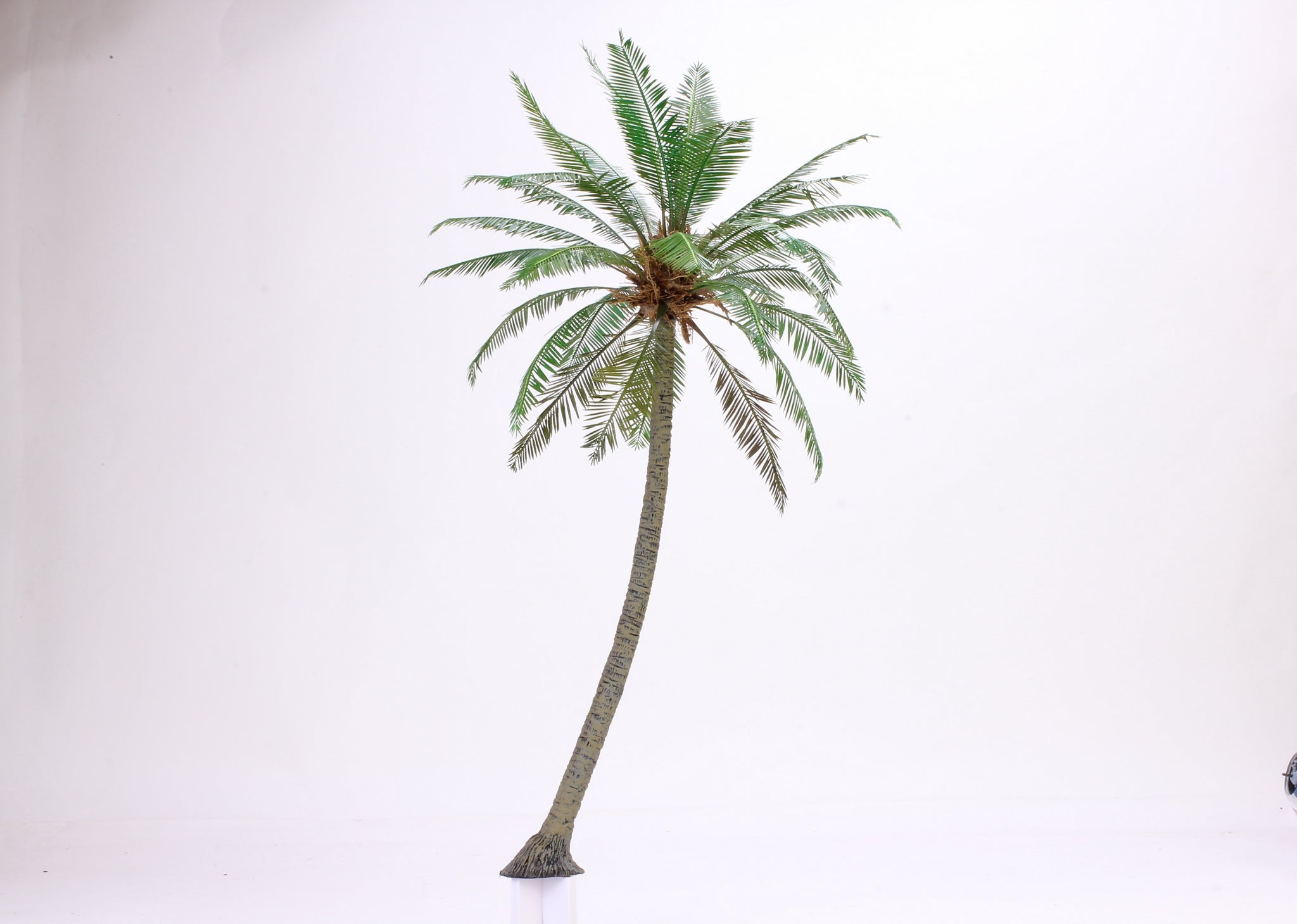 Vietnamese Coconut tree (15 in) for diorama 1:35 ProBuilt Model (Scrat ...